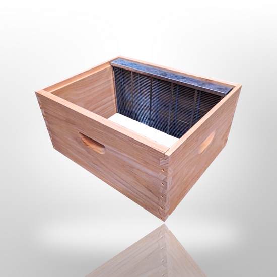 Queen Bee Isolation / Containment / Confinement Cage – noorbeesperth