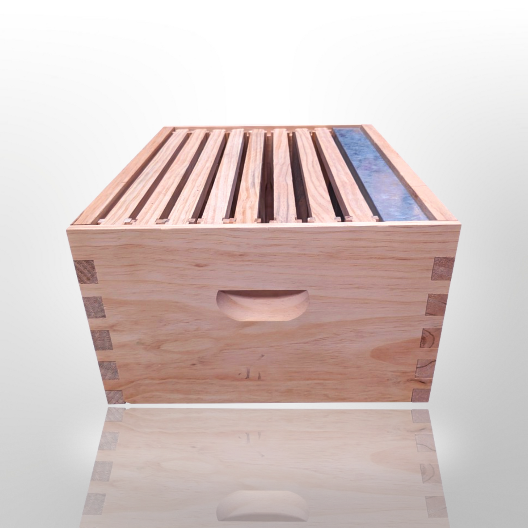 Queen Bee Isolation / Containment / Confinement Cage – noorbeesperth