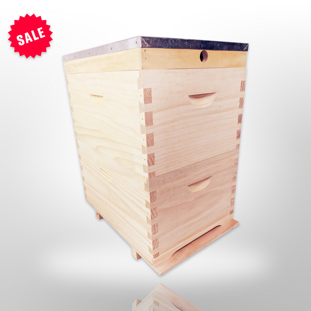 Noor Bees Perth – noorbeesperth